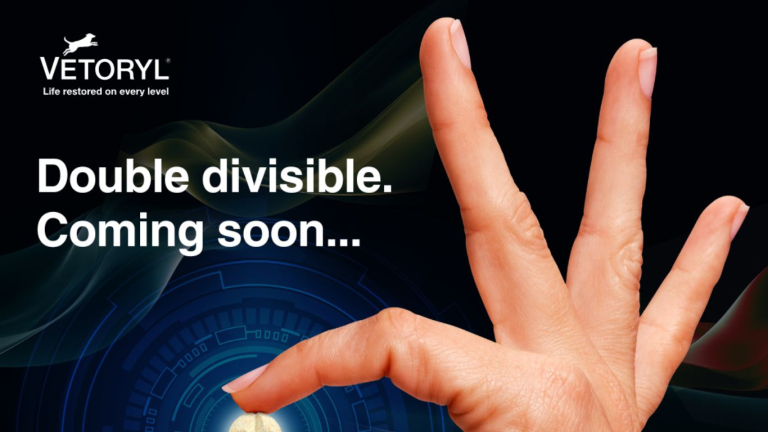 Dechra to launch new VetorylÒ double divisible flavoured tablet range ...